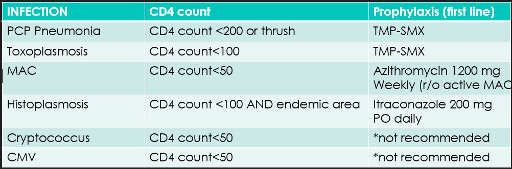 09/06/16 AM Report: PCP Pneumonia in HIV patients | SCVMC IM Chief ...