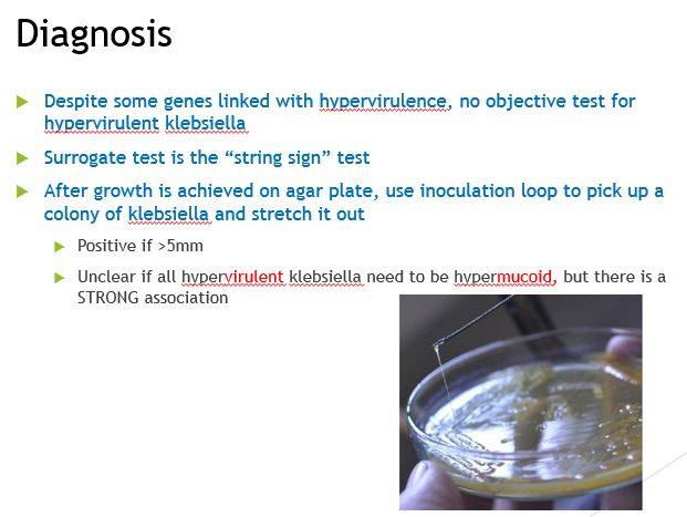 Hypervirulent (Hypermucoviscous) Klebsiella – 09/06/2017 (Presented by ...