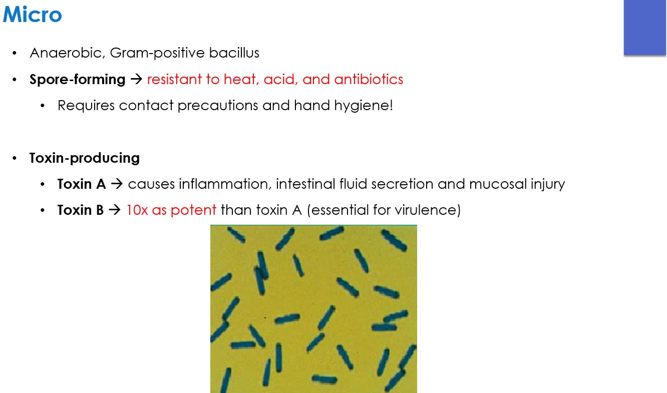 Clostridium Difficile and the New 2018 IDSA Treatment Guidelines – 04 ...