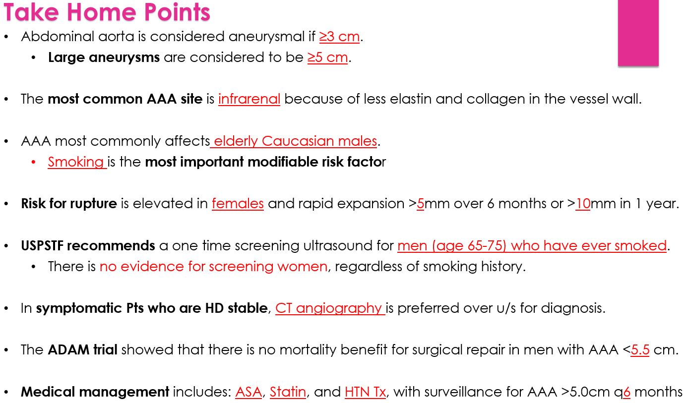 AAA11 | SCVMC IM Chief Resident Blog