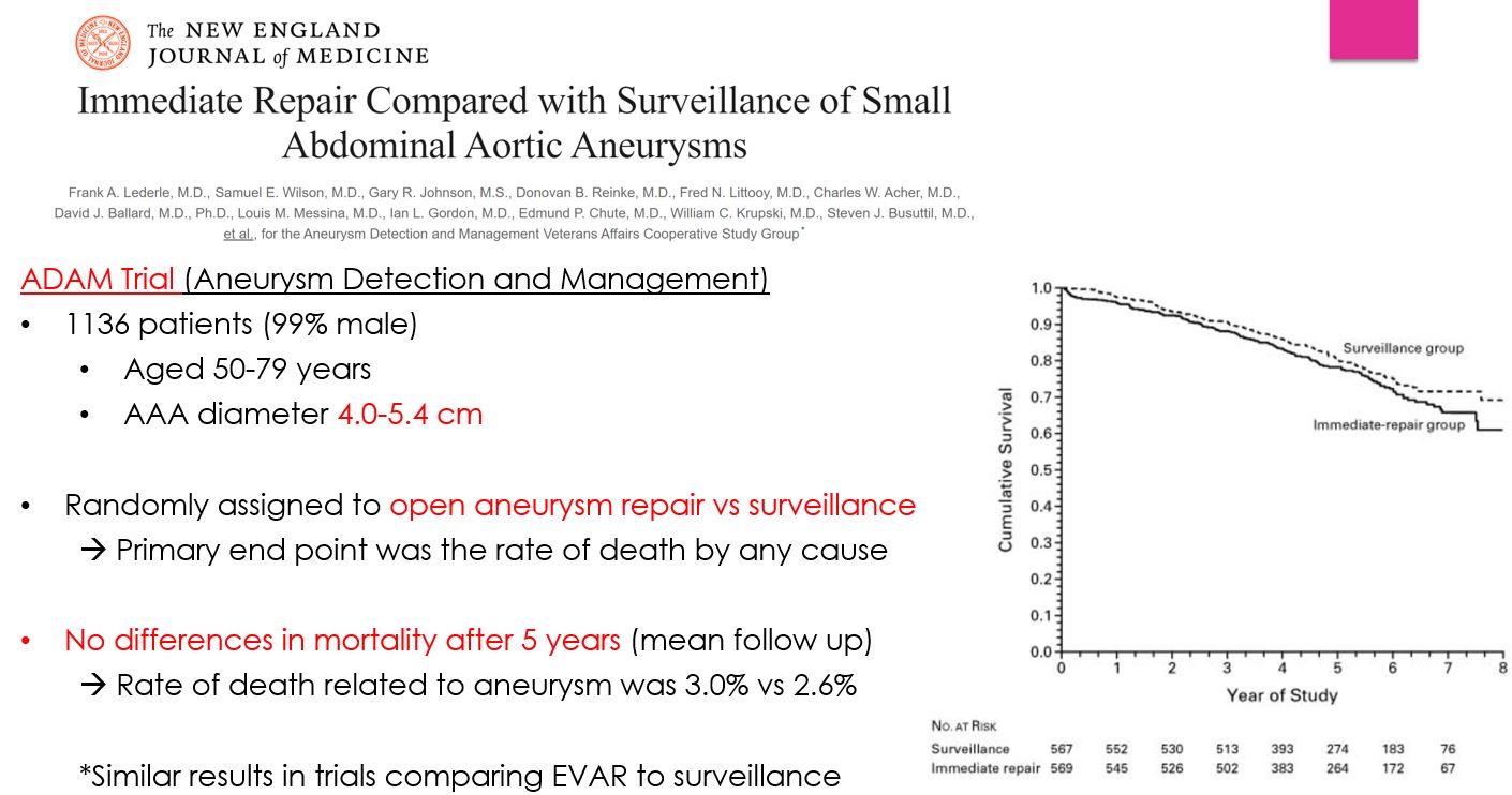 AAA9 | SCVMC IM Chief Resident Blog