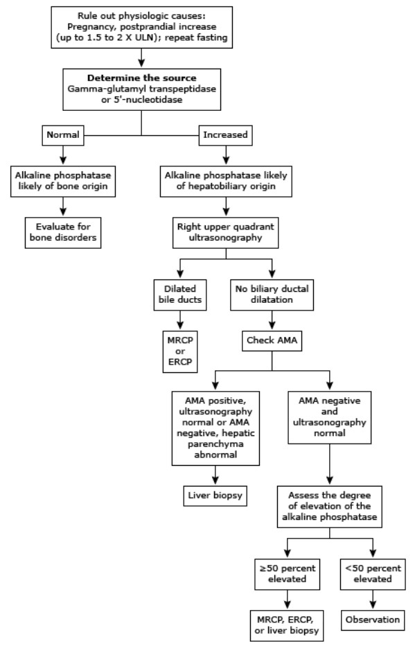 Elevated Alk Phos… Only Clue to Breast Cancer 9/20/2018 | SCVMC IM ...
