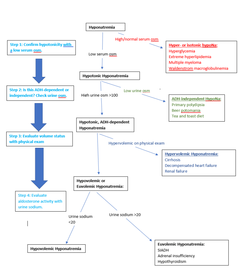 Hyponatremia and B symptoms | SCVMC IM Chief Resident Blog