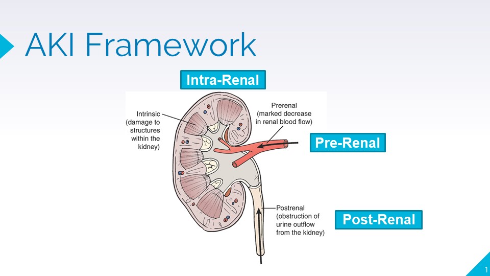 Lithium Toxicity | SCVMC IM Chief Resident Blog