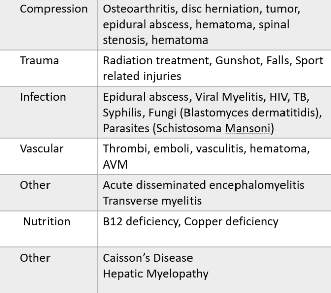 Spontaneous Spinal Cord Infarct | SCVMC IM Chief Resident Blog